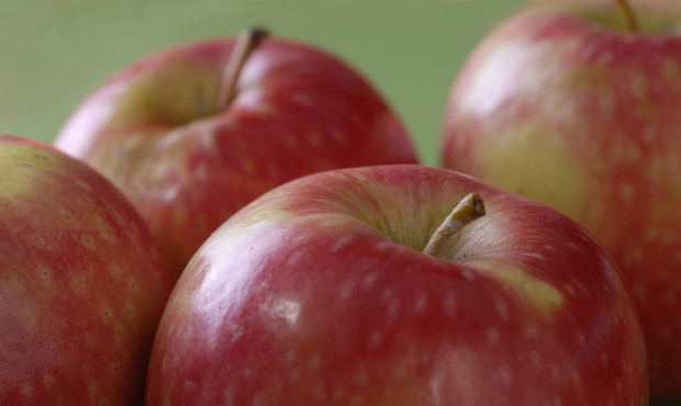 The world's first GMO apple will not turn brown, but is it safe ...