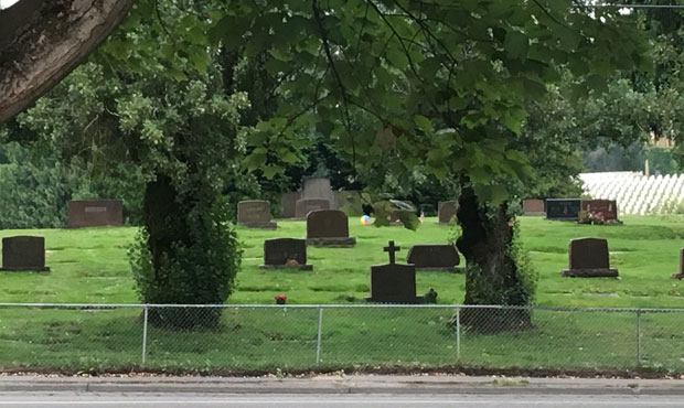 Widow has witnessed 'appalling' crimes at Seattle cemetery ...