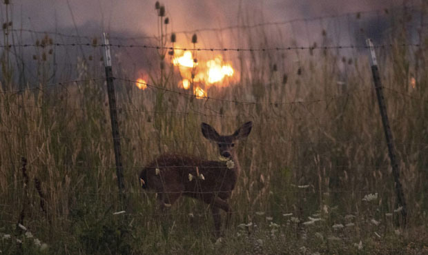 It's now clear that Mother Nature is a conservative - MyNorthwest.com