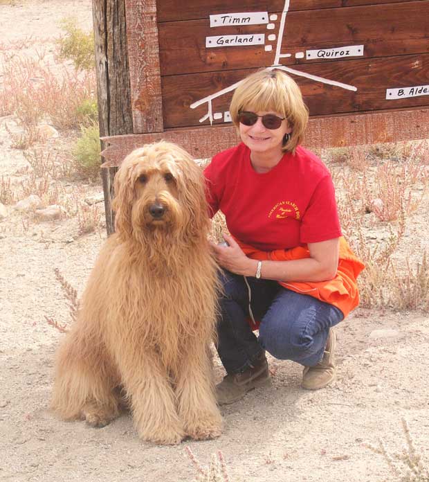 'Cold': Police excavated landfill during search for Susan Powell