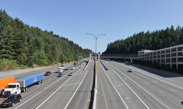 5,300 trees will be cleared to make room for Lynnwood light rail