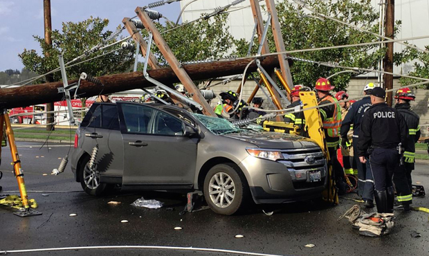 Seattle City Attorney takes over investigation into power pole collapse