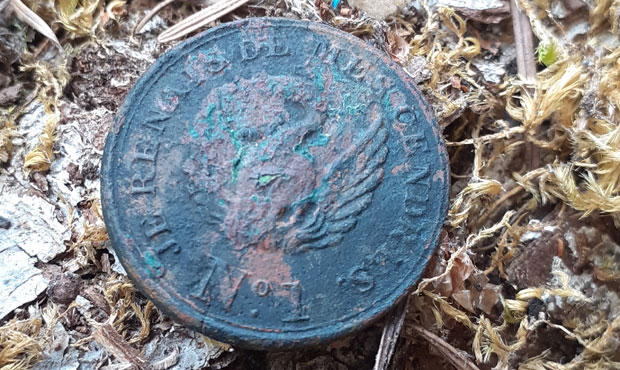 Mysterious Haitian 'Phoenix Button' found along Puget Sound