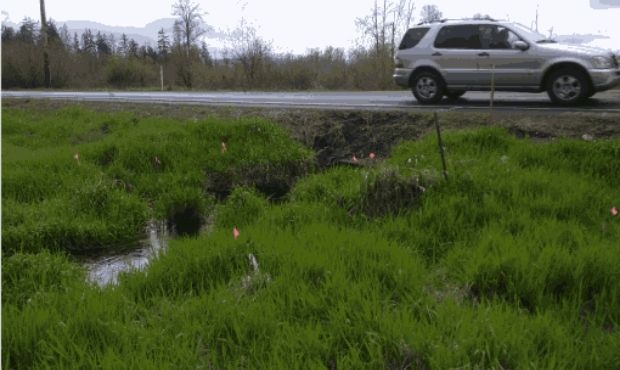 Month long closure of Hwy 203 underway as state restores fish habitat ...