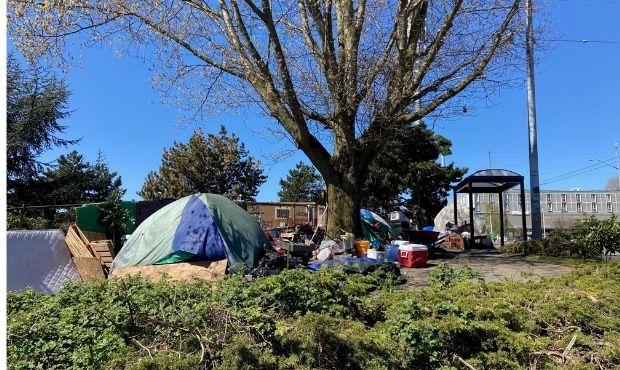 Business owner: Crime, homelessness in downtown Seattle has 'never been ...