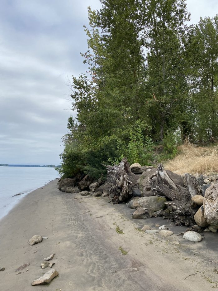 All Over The Map: New search for DB Cooper clues along Columbia River’s ...
