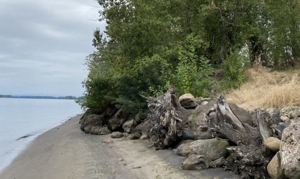 All Over The Map: New search for DB Cooper clues along Columbia River’s ...