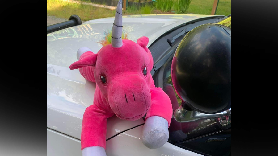 Police attempt to reunite lost toy with its owner - MyNorthwest.com