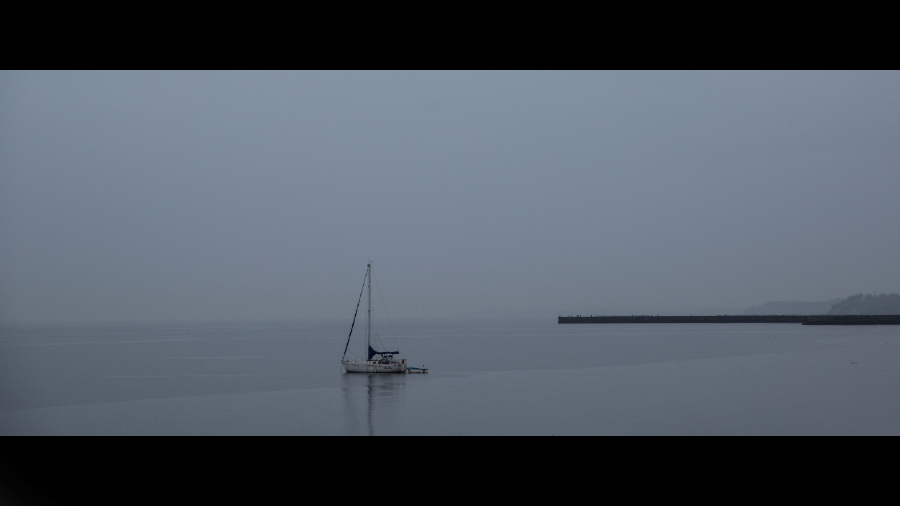 Tsunami waves could hit Seattle in minutes, study finds