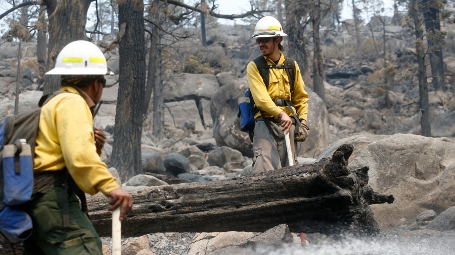 King County officials unveil region’s first wildfire risk reduction ...