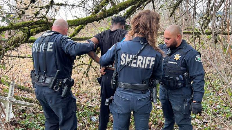 Deputies arrest assault suspect after chase through Pierce County in ...