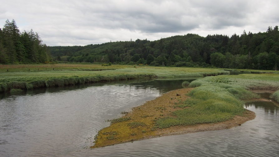 Washington wetlands are renamed to honor Black, Indigenous history ...