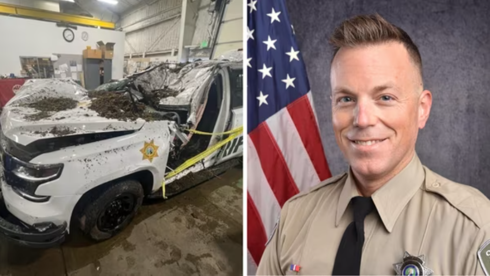 Clark County deputy loses leg after snow-covered tree branch crushed ...