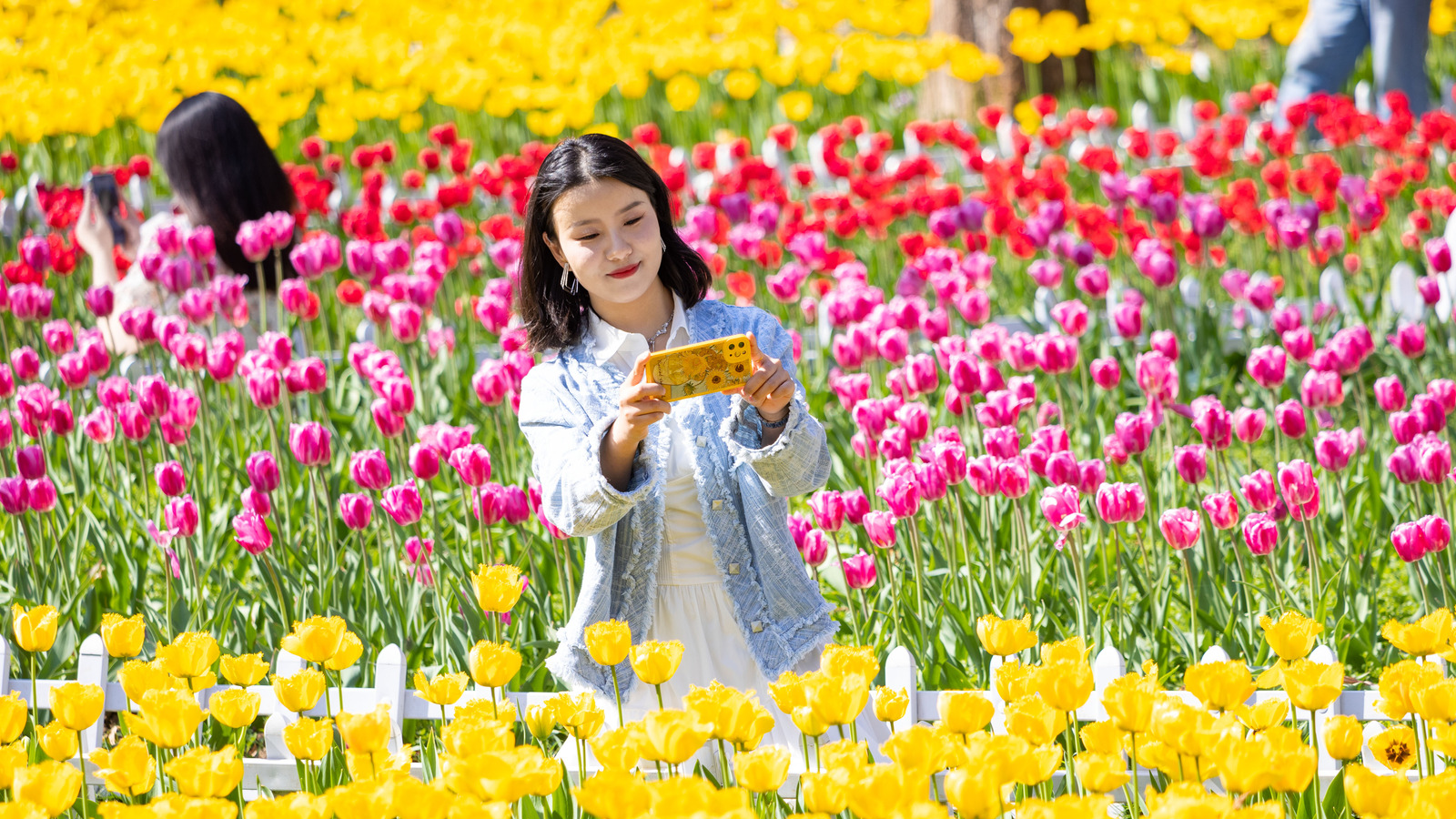A touch of spring Friday to the Puget Sound region - MyNorthwest.com