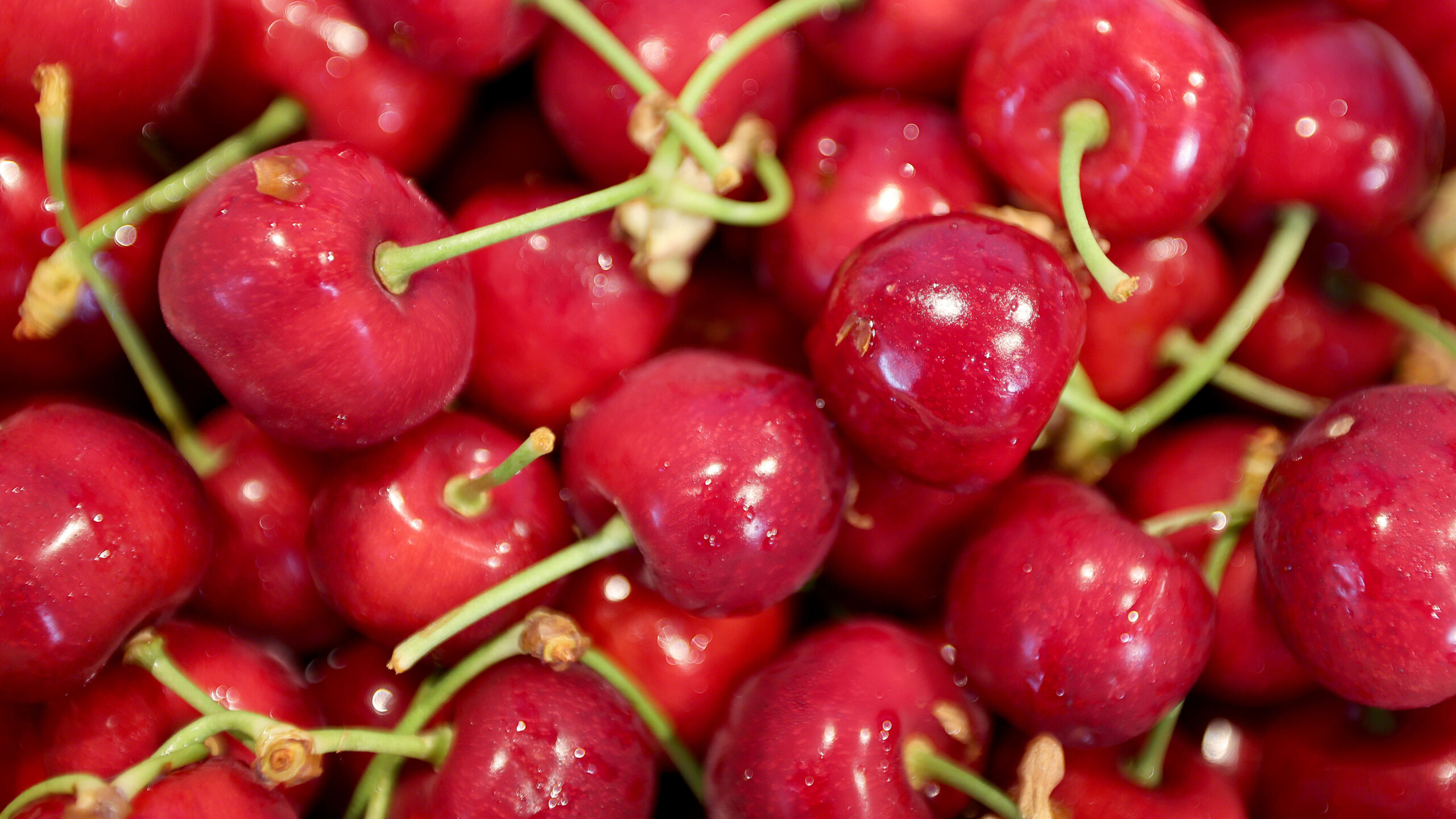 Will this year's Washington cherry crop be a winner?