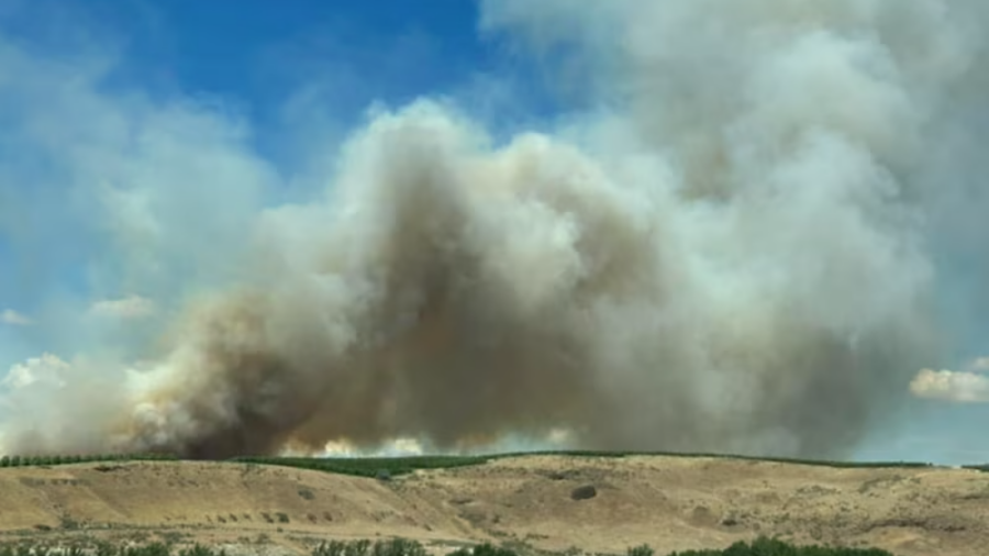 Fire Marshal calls for state mobilization to fight Oasis wildfire ...