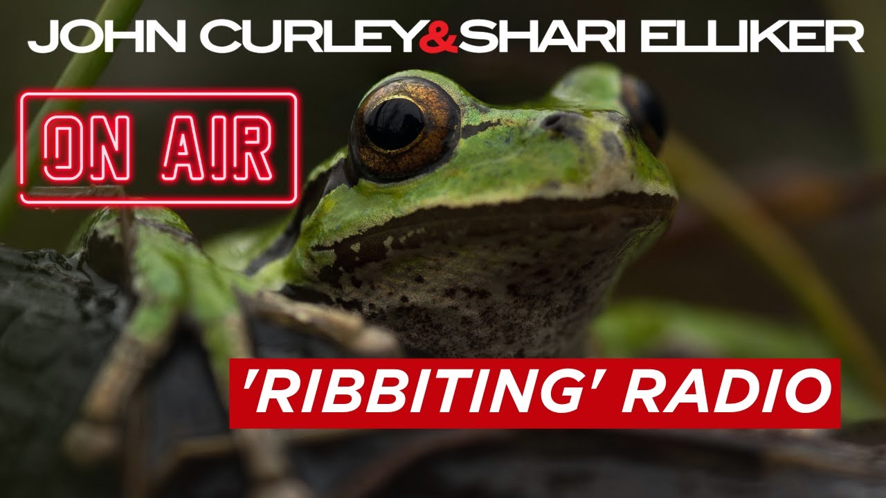Video: Shari and Jake debate what sound a frog makes. It spirals into ...