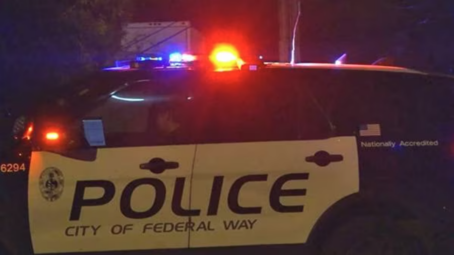 Teens arrested in Federal Way purse-snatching robberies that targeted ...