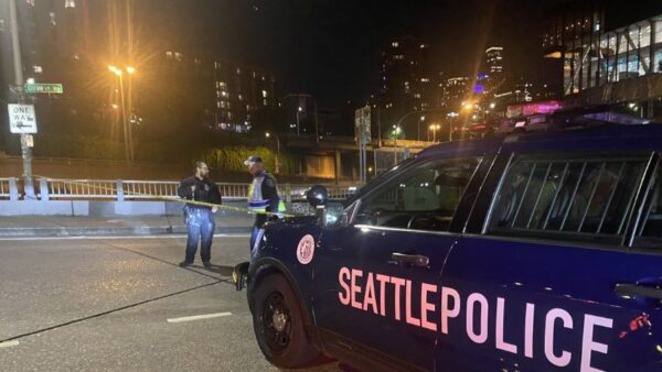 Seattle detectives looking for vehicle involved in deadly hit-and-run