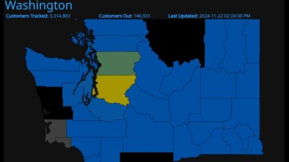 Thousands of power outages remain after 'devastation' of storm
