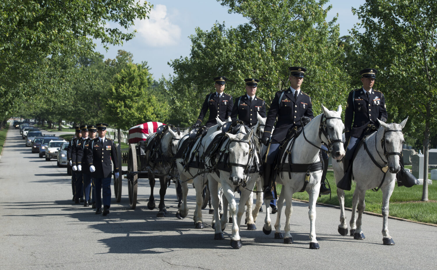 Army will end most of its ceremonial horse programs and adopt out the ...