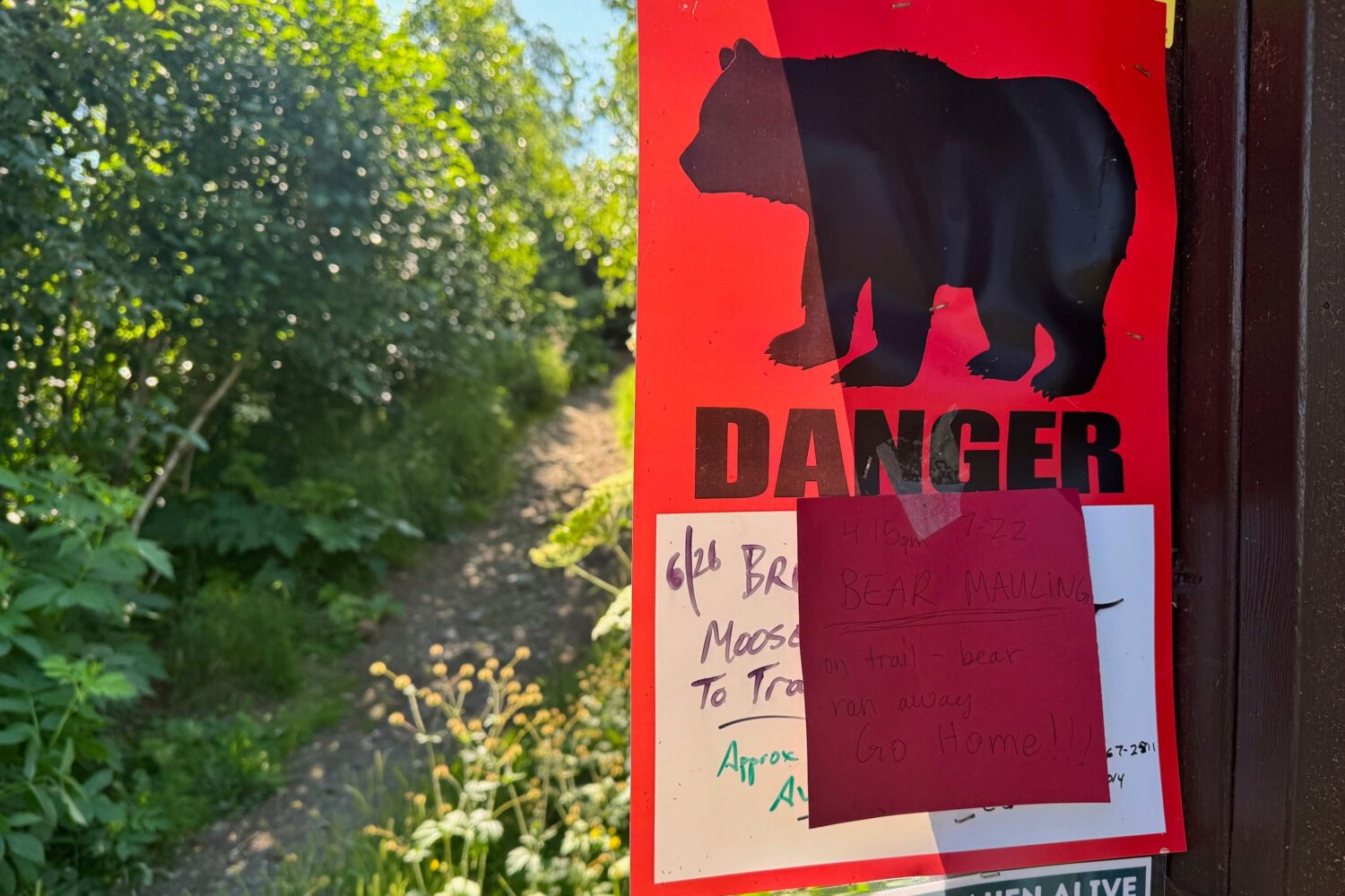 Anchorage warns hikers after 2 bear attacks in a week - MyNorthwest.com